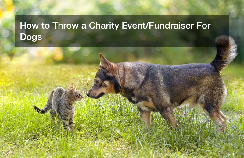 How to Throw a Charity Event/Fundraiser For Dogs - DwellingSales