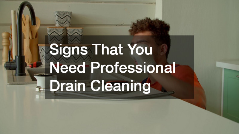 Signs That You Need Professional Drain Cleaning - DwellingSales